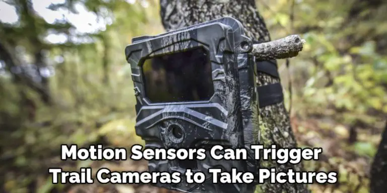 How to Find Trail Cameras on Your Property | 6 Step Instructions