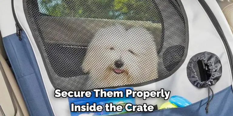 How to Secure a Dog Crate in A Car | 7 Helpful Steps (2025)