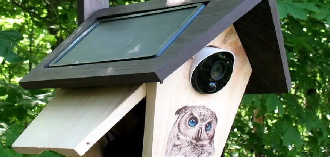 How to Keep Birds Away From Security Cameras | 10 Easy Steps